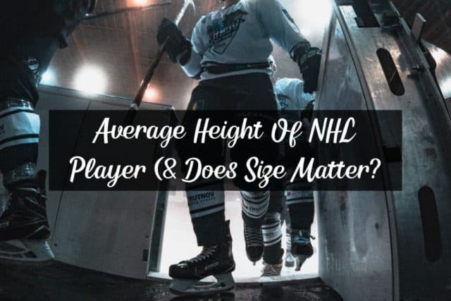 Average Height Of NHL Player (& Does Size Matter?) – Racket Rampage